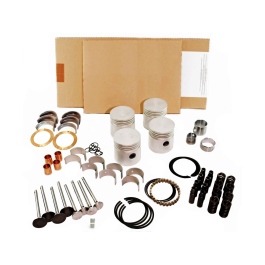 Lincoln SA-200 F162 Engine Rebuild Kit - BW Parts