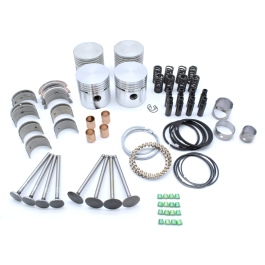 Lincoln SA-200 F163 Engine Rebuild Kit - BW Parts
