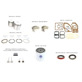 Wisconsin TFD THD Rebuild Kit (2 Cylinder) - BW Parts